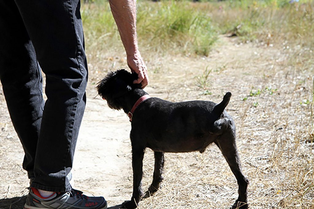 Saving Buddy - UCHealth Today