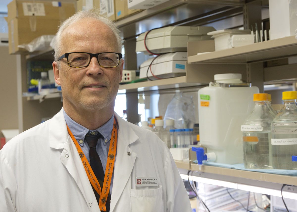 CU research: Viral gene may be a key to fighting viruses - UCHealth Today