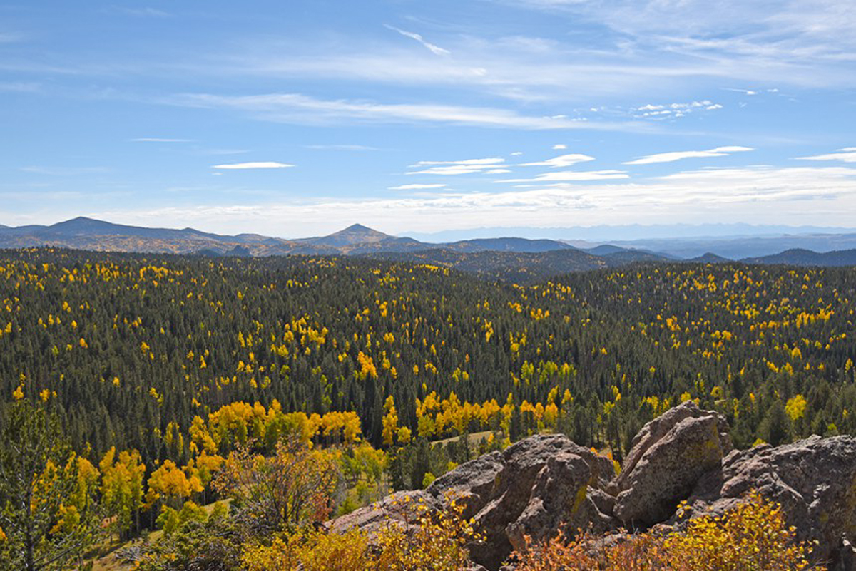 Best 18 places to see fall colors in Colorado | UCHealth Today