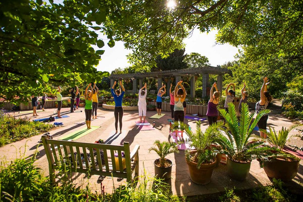 Outdoor Yoga Top Spots From Red Rocks To Your Park Or County Fair Uchealth Today