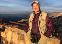 Dextenza eye insert eliminates need for drops after cataract surgery ...