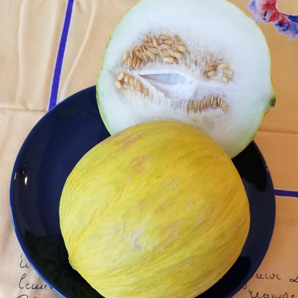 Cooking with melon: start with the fragrance - UCHealth Today