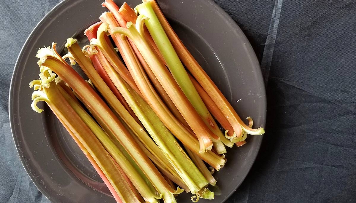 How to use fresh rhubarb this spring and summer - UCHealth Today
