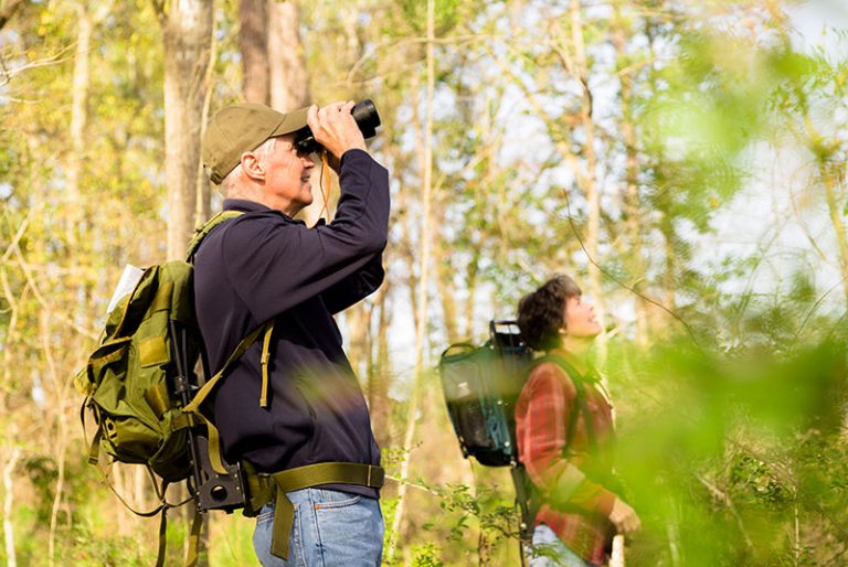 Mindfulness activities in nature: Try bird-watching - UCHealth Today
