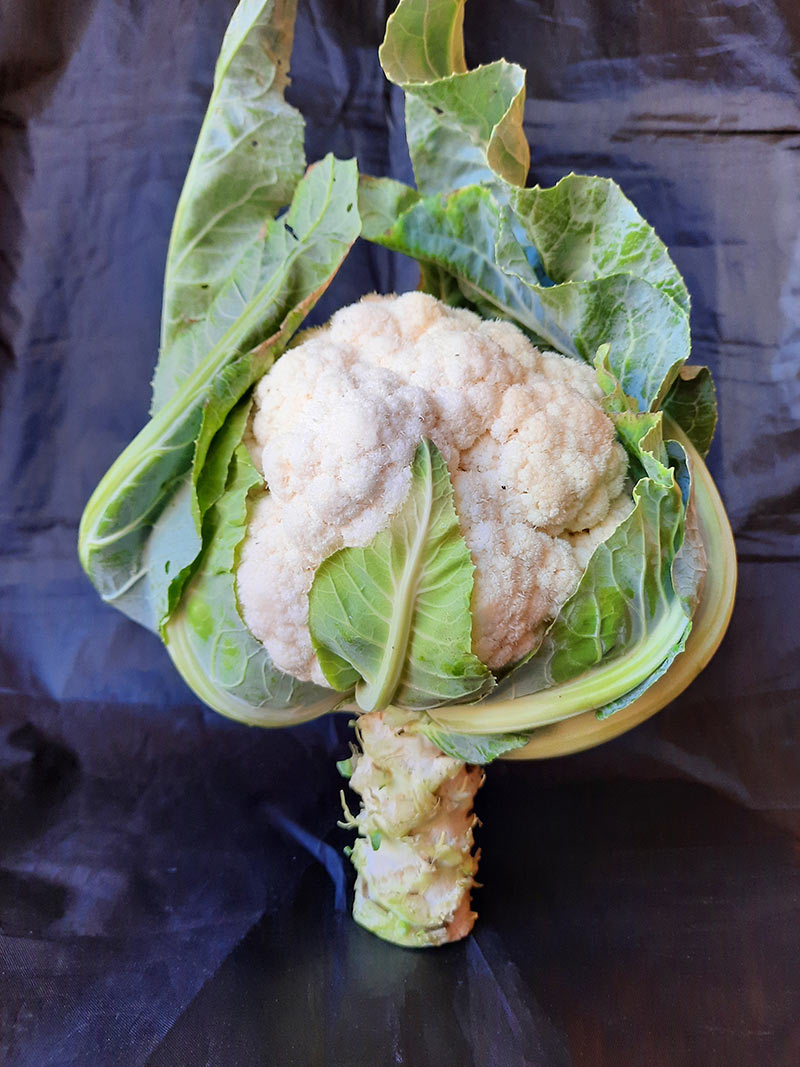 Roasting a head of cauliflower as if it were a pot roast - UCHealth Today