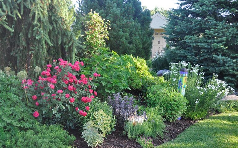 Preparing your garden for spring in Colorado - UCHealth Today