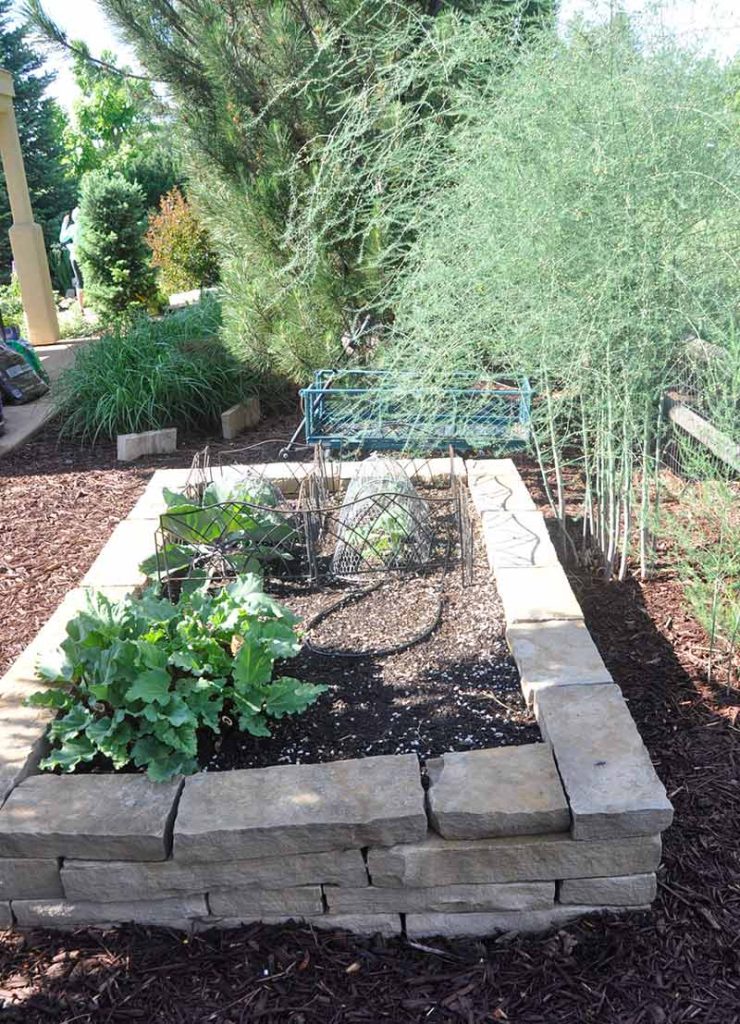 Preparing your garden for spring in Colorado - UCHealth Today