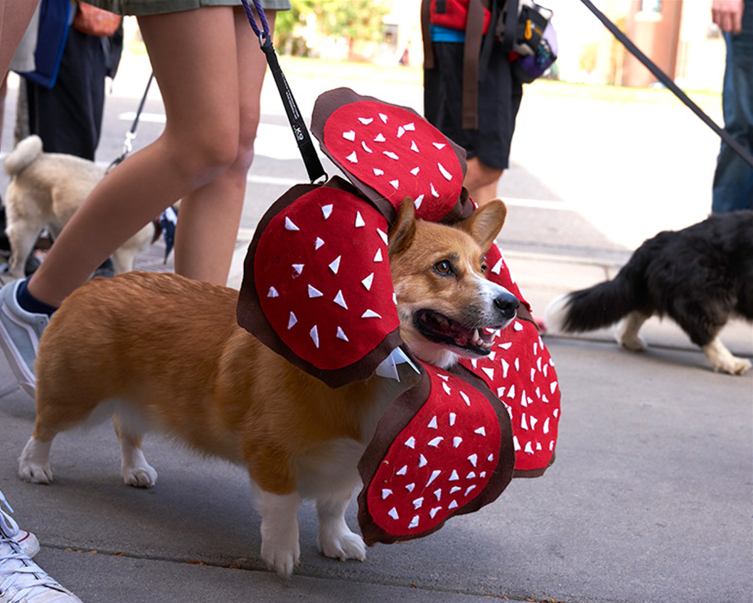 6 things to do in Colorado in October - UCHealth Today