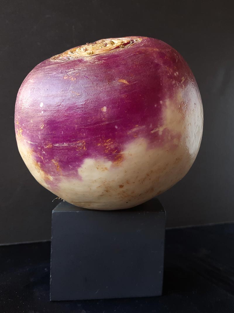 Cooking with squash and turnips - UCHealth Today