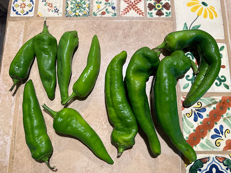Pueblo chile: Sample world-class chiles in these recipes - UCHealth Today