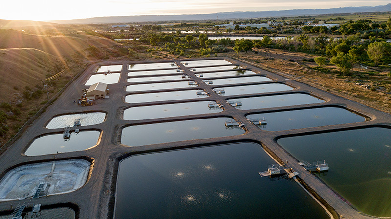 Track local illnesses: Colorado's new dashboard uses wastewater data ...